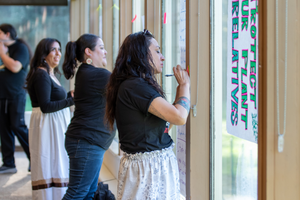Native Organizers Alliance